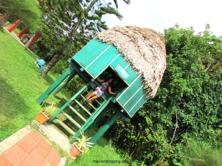 Best Of Andaman Itinerary For 7 Days | The World Tripping